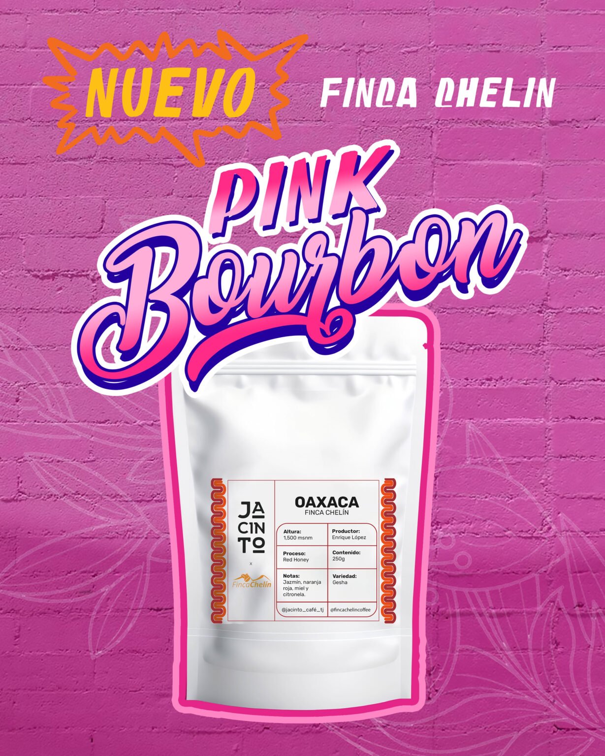 Oaxaca Finca Chelín - Café Pink Bourbon | Jacinto Café